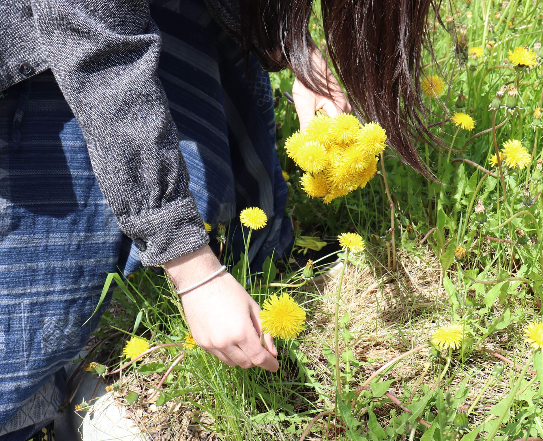 Make Your Own DIY Dandelion Crown | NAIT Nugget